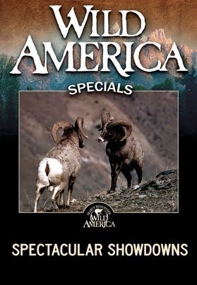 Wild America Specials: Spectacular Showdowns - Movies on Google Play