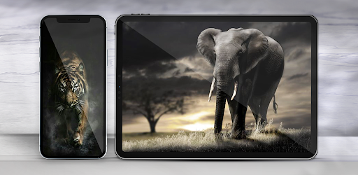 Animal Wallpaper HD Android App