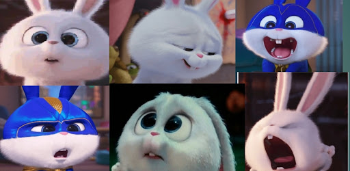 Snowball Animated Stickers Android App