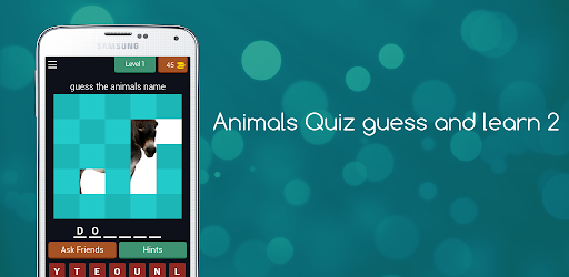 Animals Quiz Guess and learn Android App