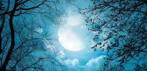 Moonshine HD Theme Wallpapers Android App
