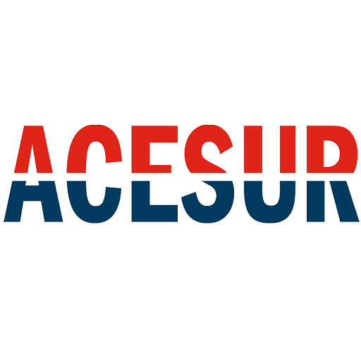 Acesur Repuestos Auto Partes for PC / Mac / Windows 11,10,8,7 - Free ...