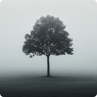 「Black and White Wallpapers」 - Androidアプリ | APPLION