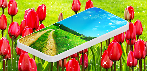 Green Spring Live Wallpaper Android App