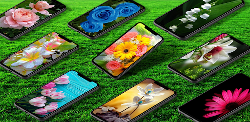 Flower Wallpaper Android App
