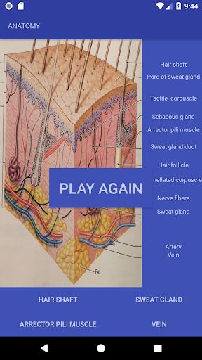 Anatomy Quiz for PC / Mac / Windows 11,10,8,7 - Free Download ...