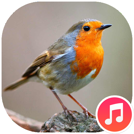 Robin Bird Sounds for PC / Mac / Windows 11,10,8,7 - Free Download - Napkforpc.com