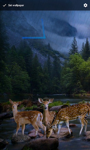 River Deer Live Wallpaper for PC / Mac / Windows 11,10,8,7 - Free ...