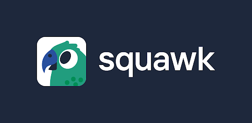 Skyguide Squawk Android App