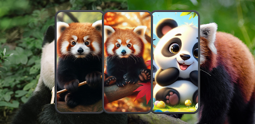 Panda Wallpaper : Cute Panda Android App
