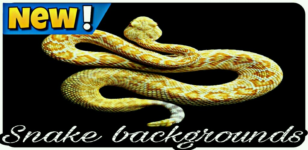 Download package com.wallpapers_and_backgrounds_free.snake_wallpaper_hd ...