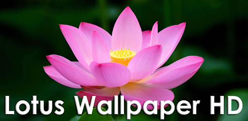 Lotus Wallpaper HD Android App